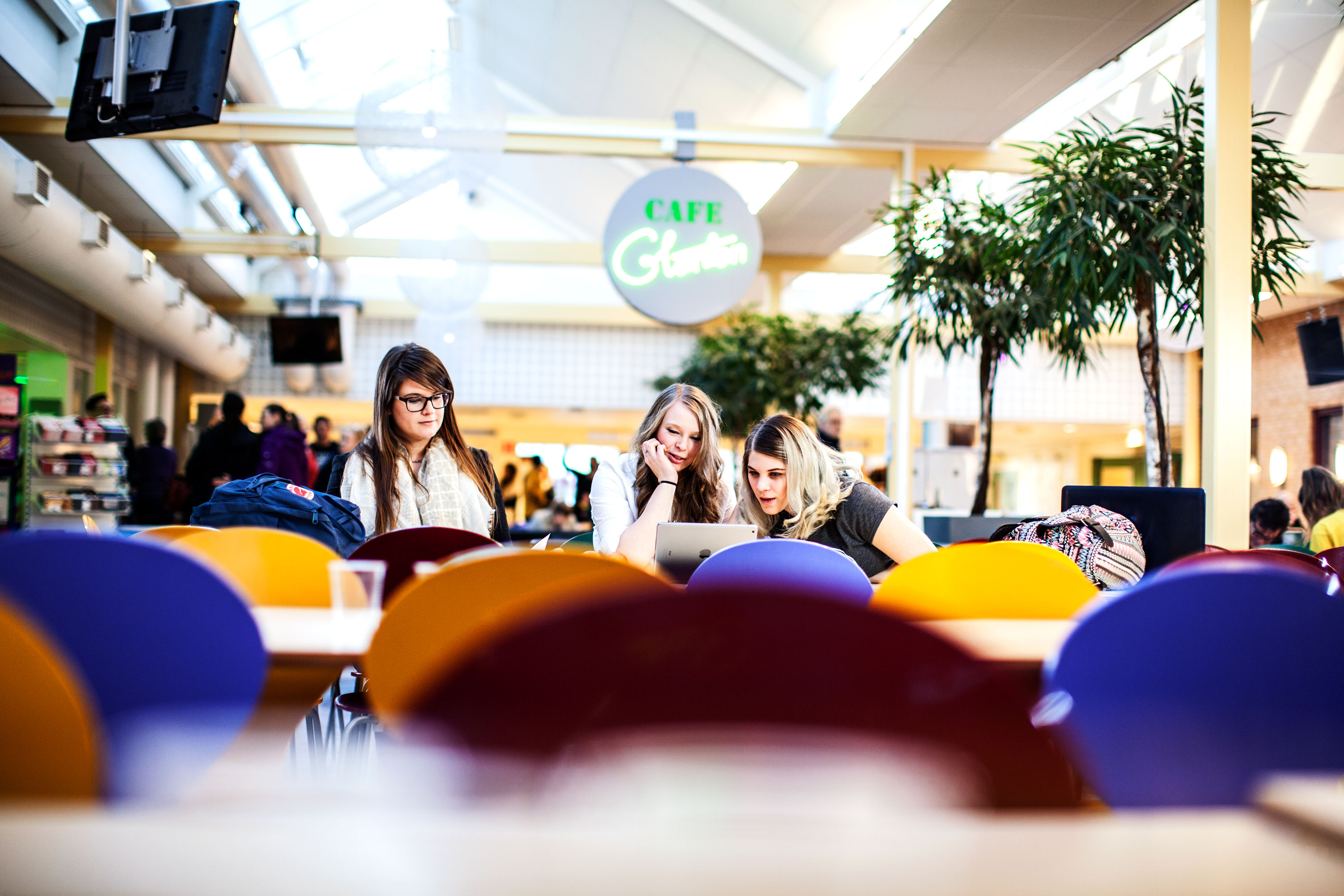 Business and Economics (240 ects credits) | Karlstad University