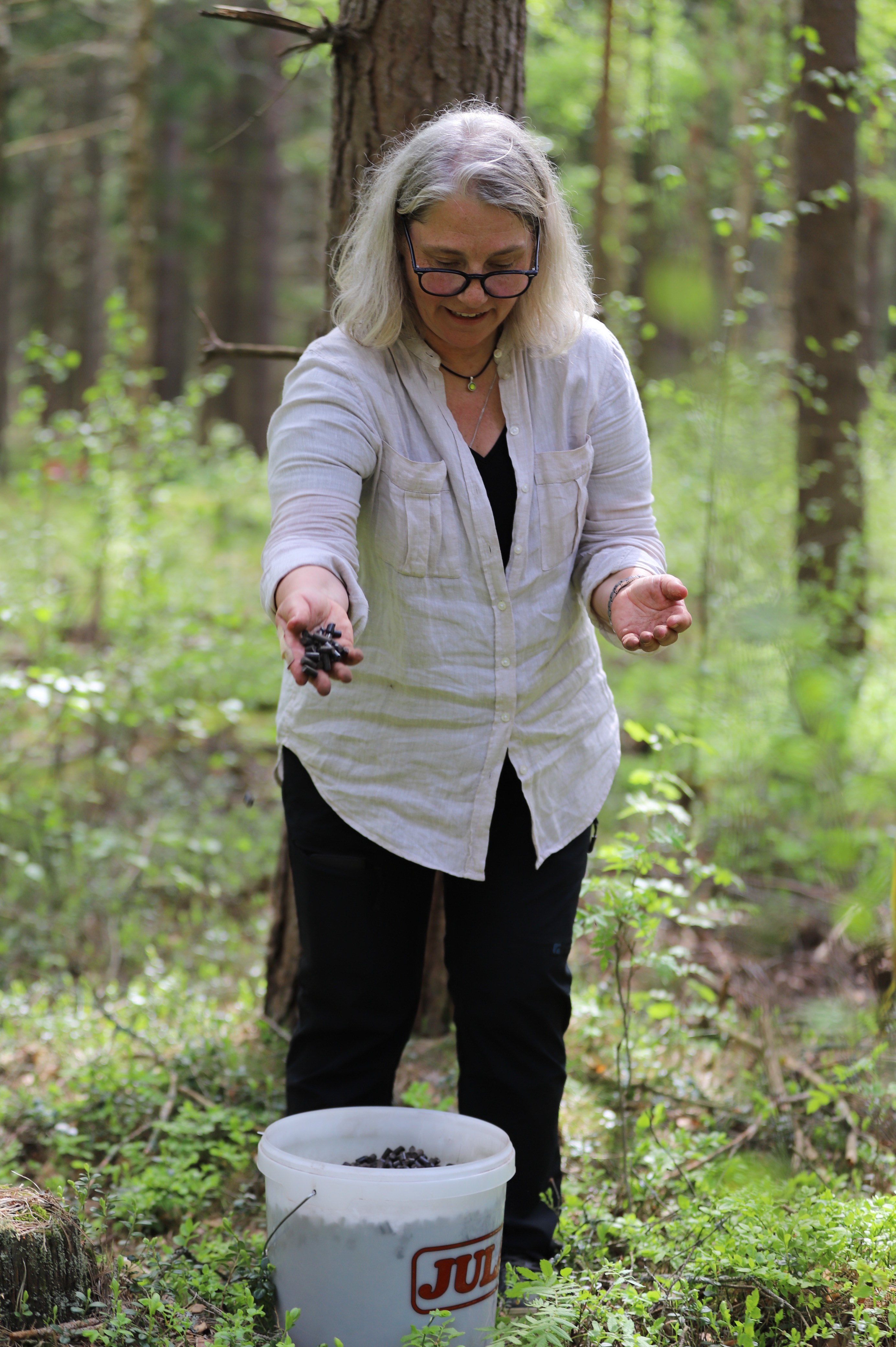 Att ge tillbaka till skogen | Karlstads universitet