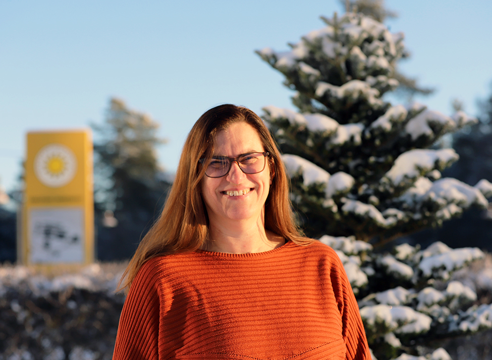 Self-healing solar cells recover at night | Karlstad University