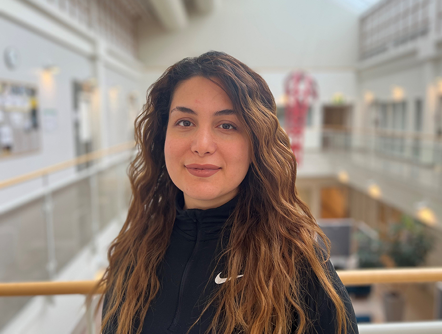 Green Materials Technology for Sustainable Packaging | Karlstad University