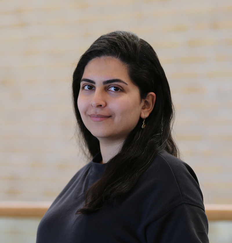 Farzaneh Karegar | Karlstad University