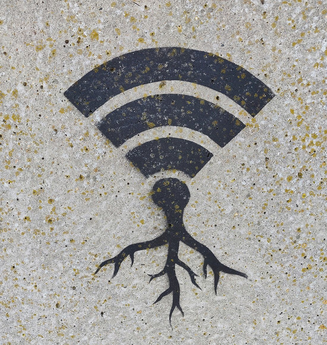 How do we achieve a more sustainable digital society? | Karlstad University