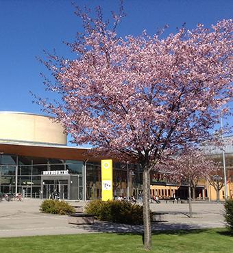 Library | Karlstad University